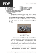 Jenis Kalsium dan Perbedaannya | PDF | Kesehatan Holistik | Sains ...