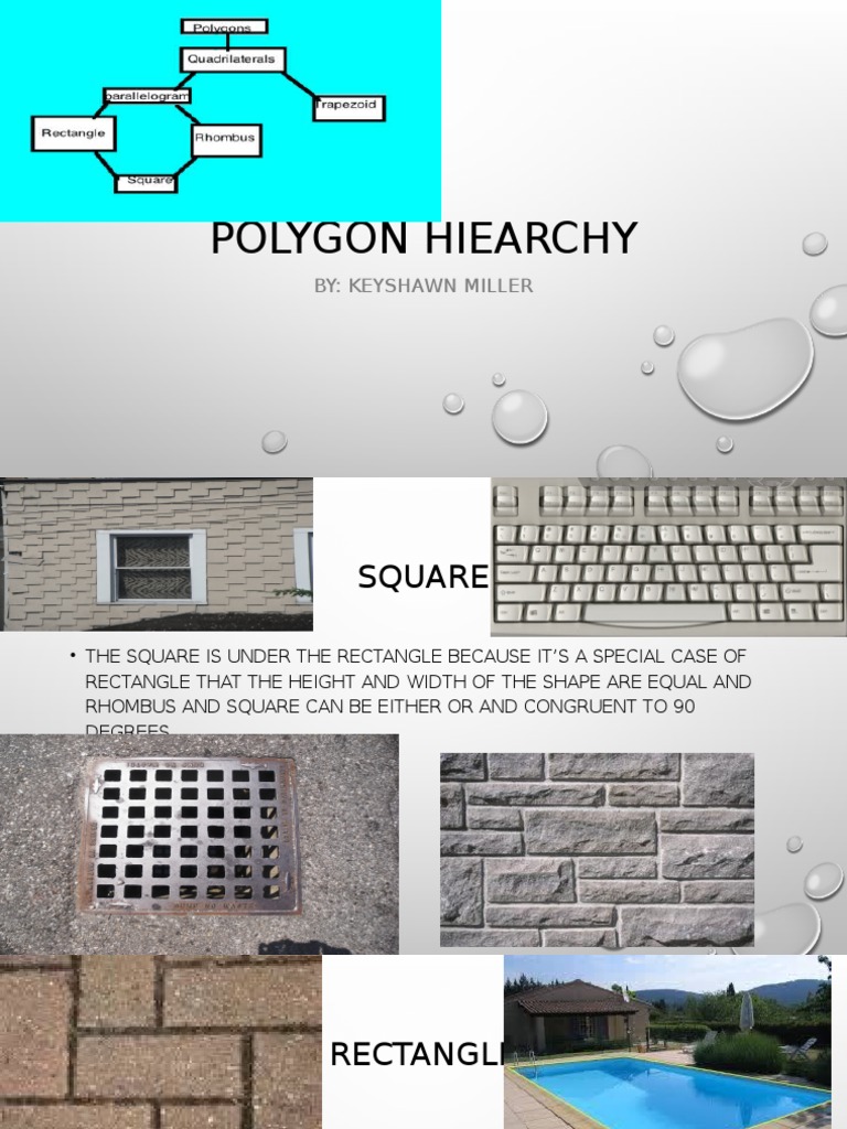 Polygon Hierarchy Explained | PDF
