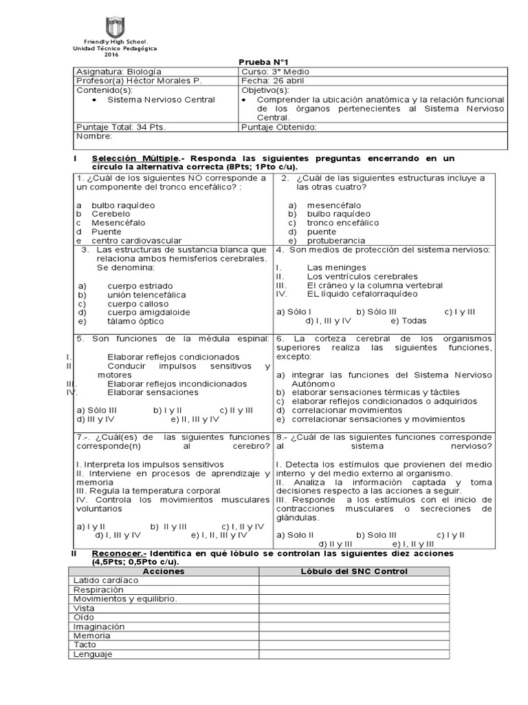 Prueba Sistema Nervioso Prueba Sistema Nervioso