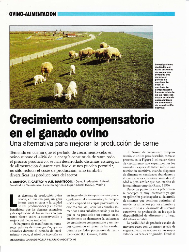 Crecimiento Compensatorio en Ovinos | PDF | Oveja | Crecimiento económico