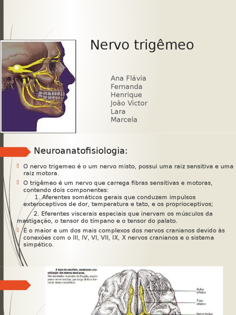 1- Nervo Trigêmeo | Nervo | Neuroanatomia