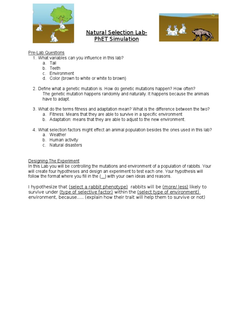 Natural Selection Lab-Phet Simulation | Download Free PDF | Dominance ...
