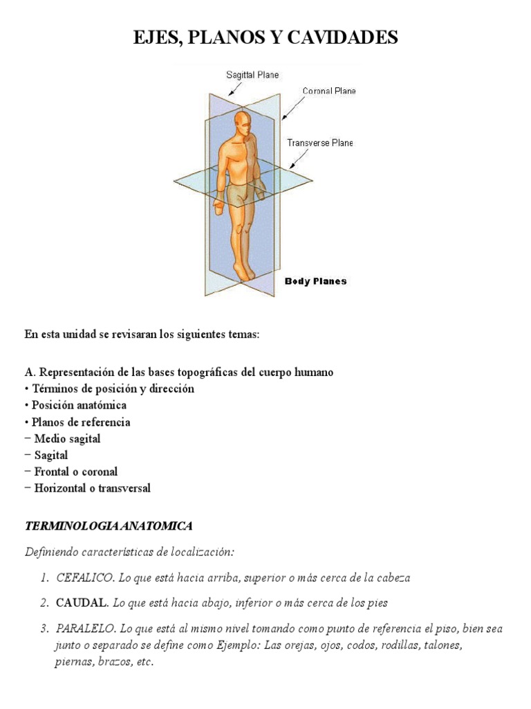 EJES Cuerpo Humano | PDF | Pelvis | Abdomen