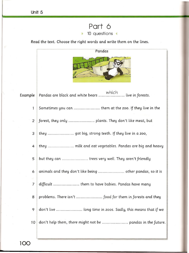 SKILLS Builder Flyers 2 | PDF