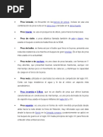 Definición y tipos de popa en barcos | PDF | Barcos | Crucero