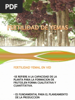 Apoplasto y Simplasto | PDF | Raíz | Biología Celular)