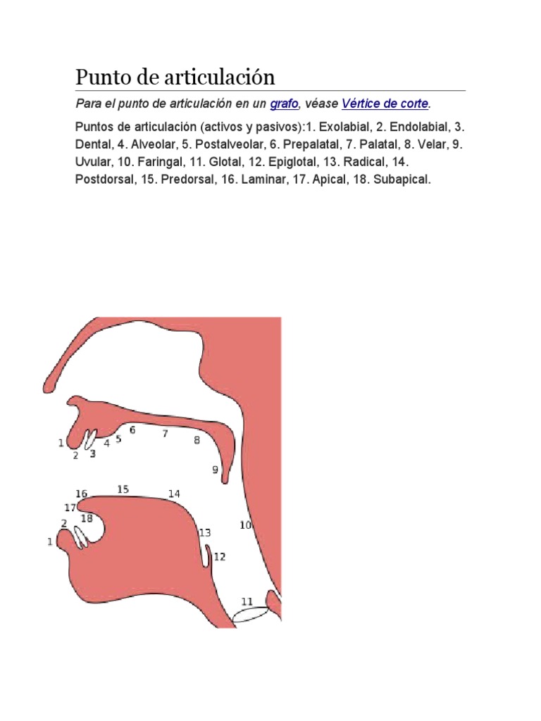 Punto de Articulación | Fonética | Voz humana