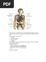 Cardiovascular System | PDF | Atrium (Heart) | Heart