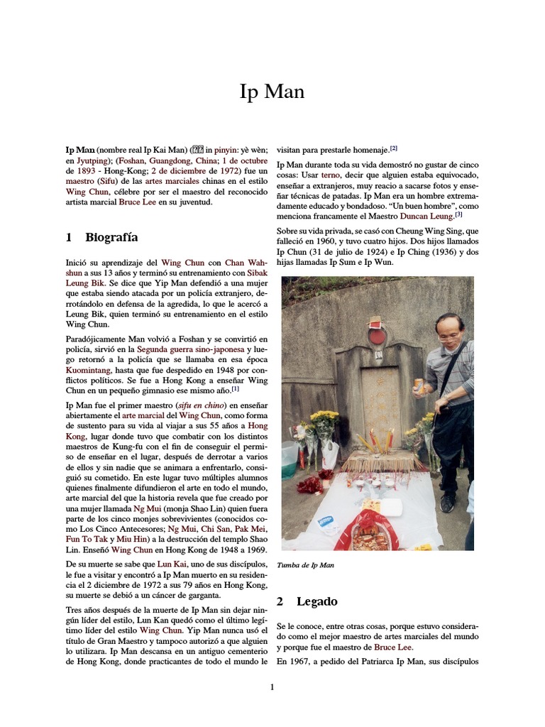Ip Man | PDF | Combate | Artes marciales del este asiático
