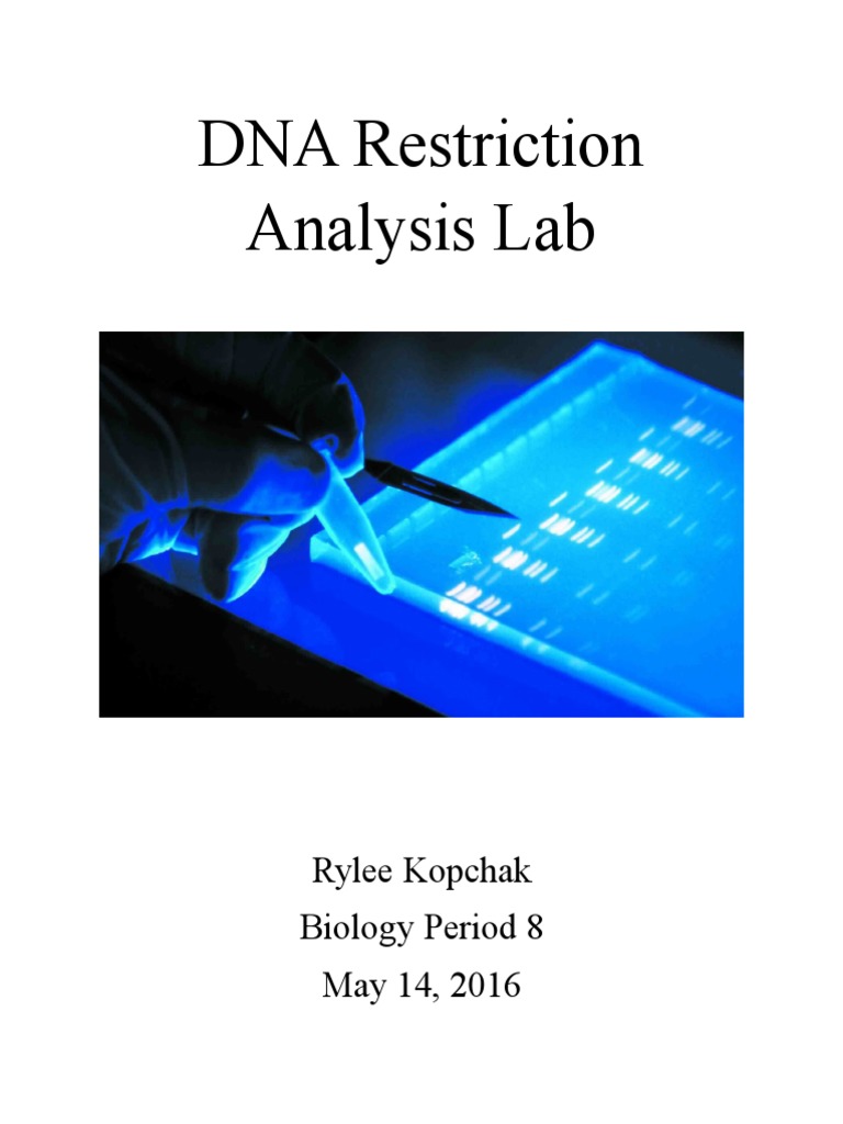 DNA Restriction Enzyme Analysis Lab | PDF | Agarose Gel Electrophoresis ...