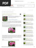 Rain Bird Design Guide | PDF | Pipe (Fluid Conveyance) | Irrigation