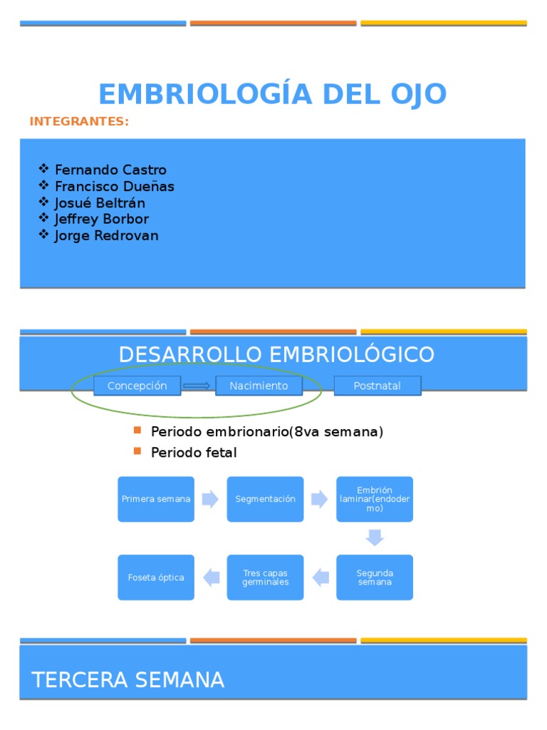 Embriologia Del Ojo | PDF | Ojo humano | Rasgos faciales
