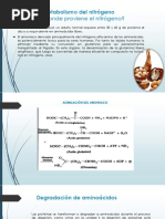 La síntesis de la UREA | PDF | Urea | Sustancias químicas