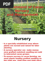 Copra Farming Calculator | PDF | Return On Investment | Coconut