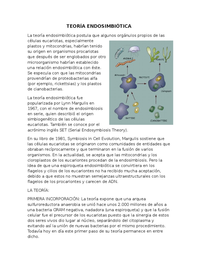 Teoría Endosimbiótica | Cloroplasto | Eucariotas