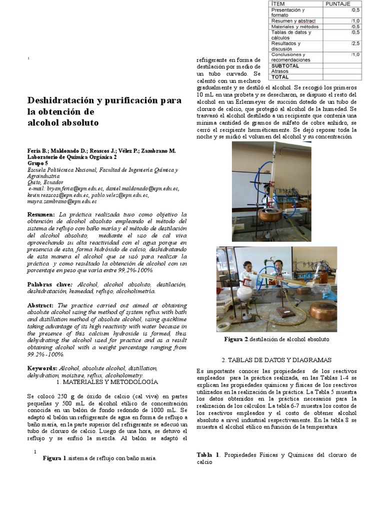 Alcohol Absoluto | PDF | Alcohol | Etanol