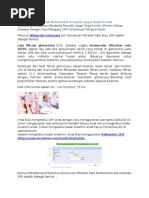 Rumus Menghitung GFR Baru | PDF