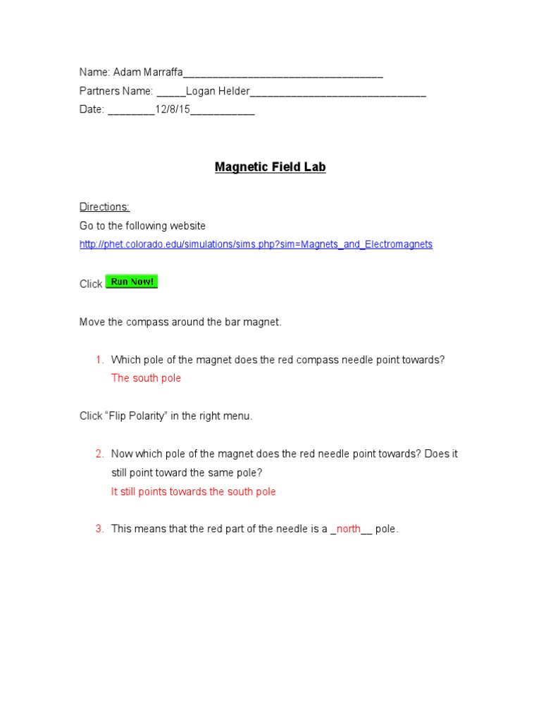Magnetic Field Lab Experiment Guide | PDF | Magnet | Magnetic Field