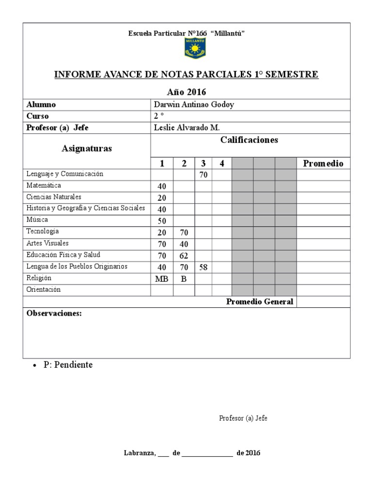Informe Notas 1° Semestre 2016 | PDF | Comunicación | Enseñanza de matemática