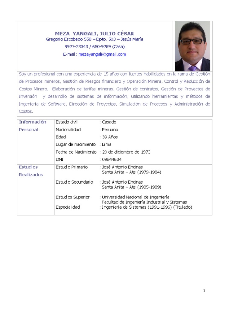 Hoja de Vida Julio Cesar Meza Yangali | PDF | Presupuesto | Hospital