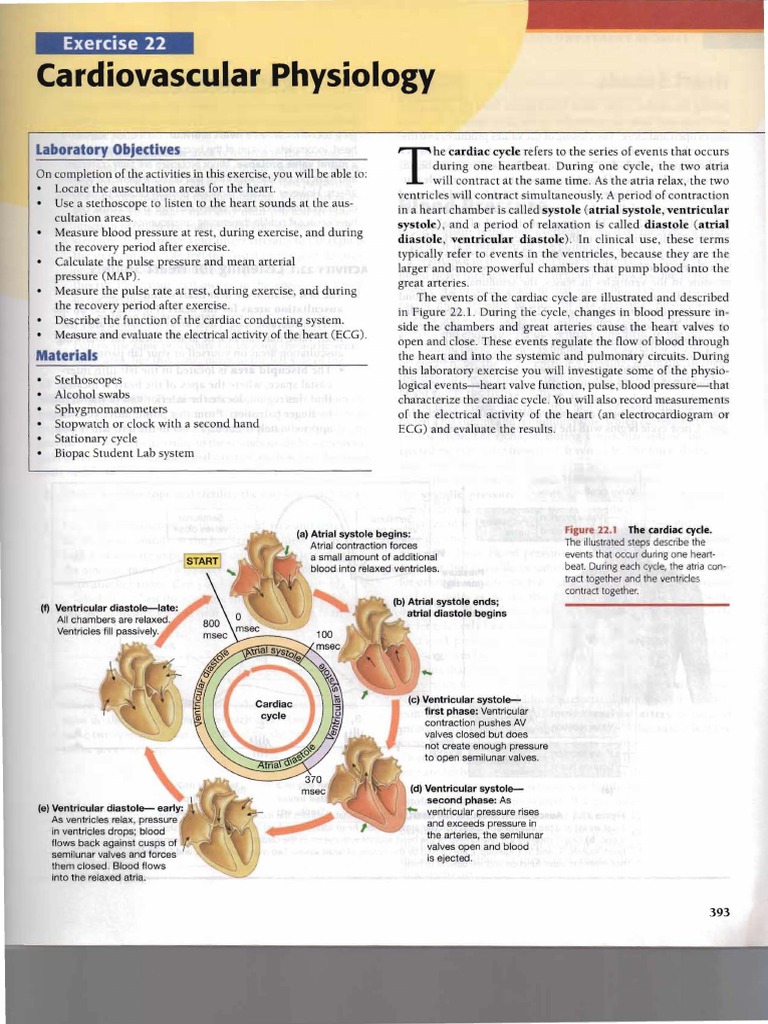 Cardiovascular Physiology Lab Guide | PDF | Heart Valve | Atrium (Heart)