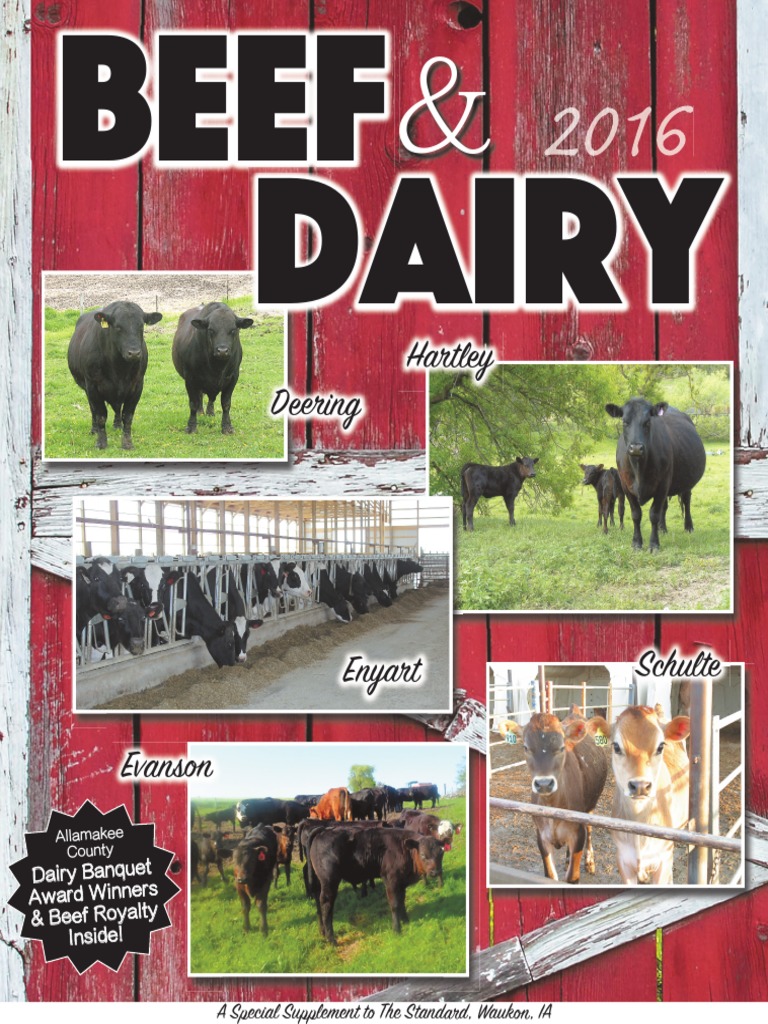 Beef & Dairy 2016 | PDF | Dairy Cattle | Dairy Farming