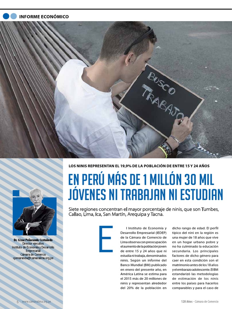 Informe Sobre Los Ninis en El Perú | PDF | Juventud | Perú
