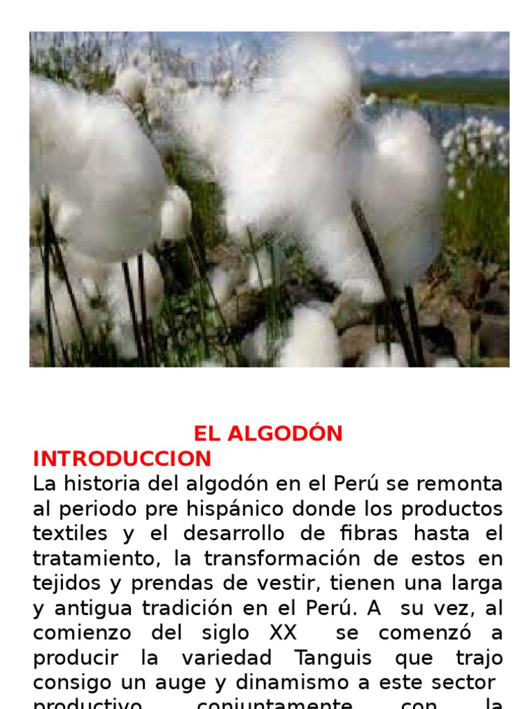 Algodon Peruano | PDF | Algodón | Agronomía