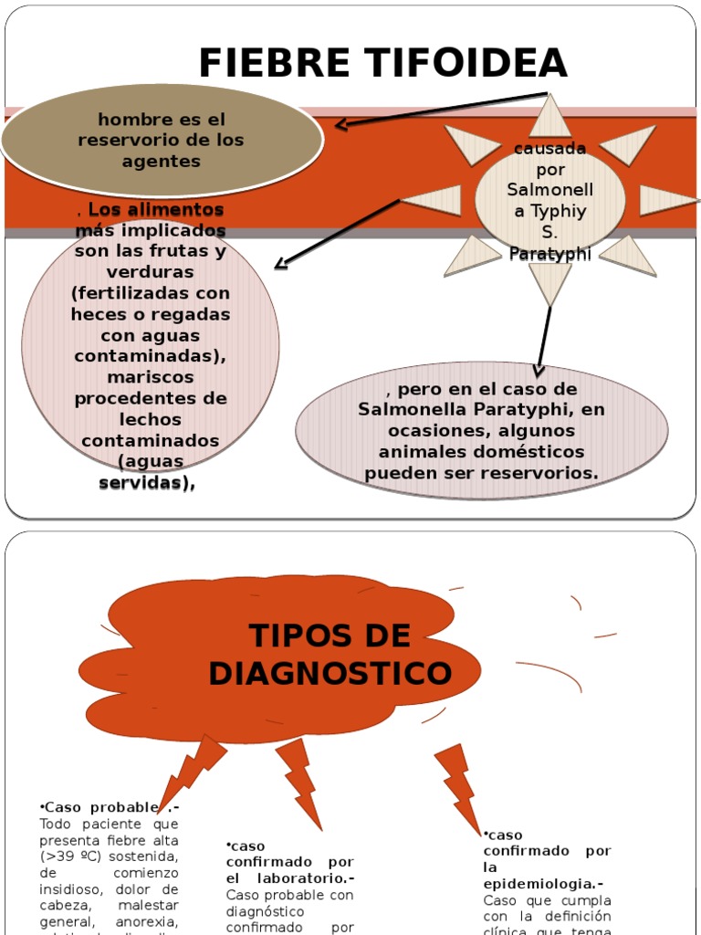 Fiebre Tifoidea | Salmonela | Medicina