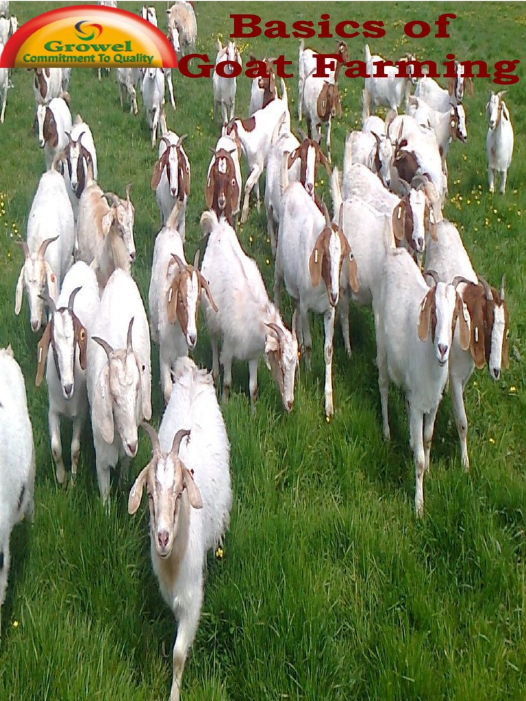 Basic of Goat Farming | PDF