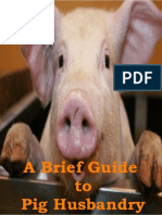 Comprehensive Guide to Pig Farming | PDF | Domestic Pig | Pig