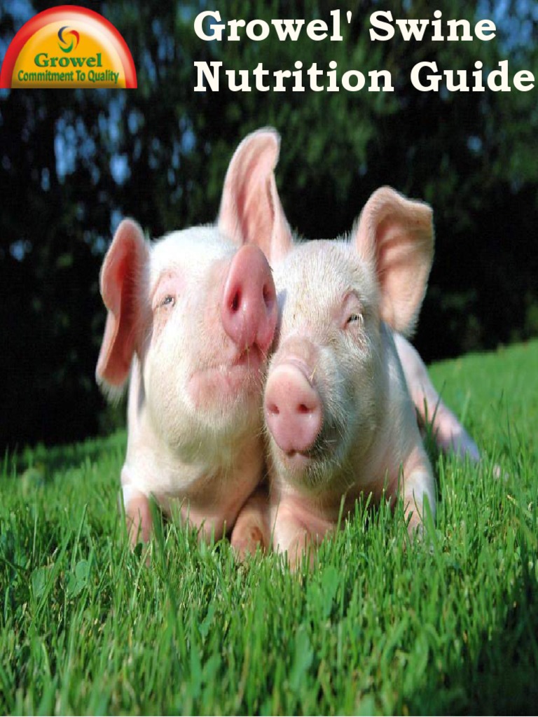 Growel' Swine Nutrition Guide | PDF | Oat | Domestic Pig
