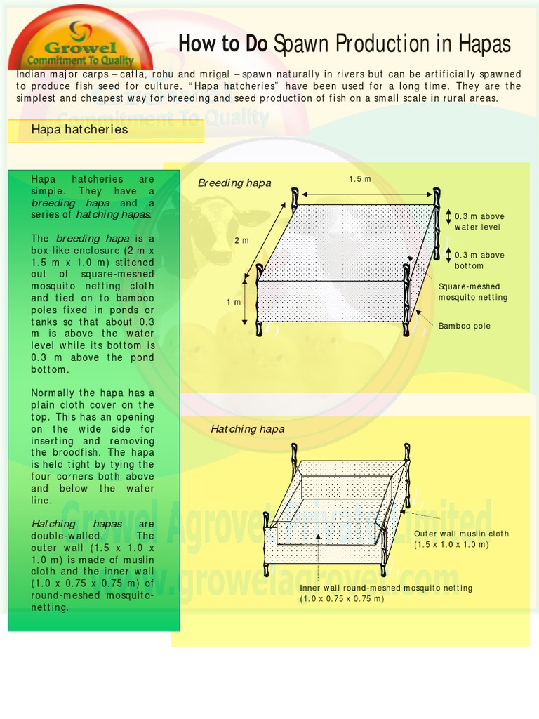 How To Do Spawn Produduction in Hapas | PDF | Egg | Spawn (Biology)