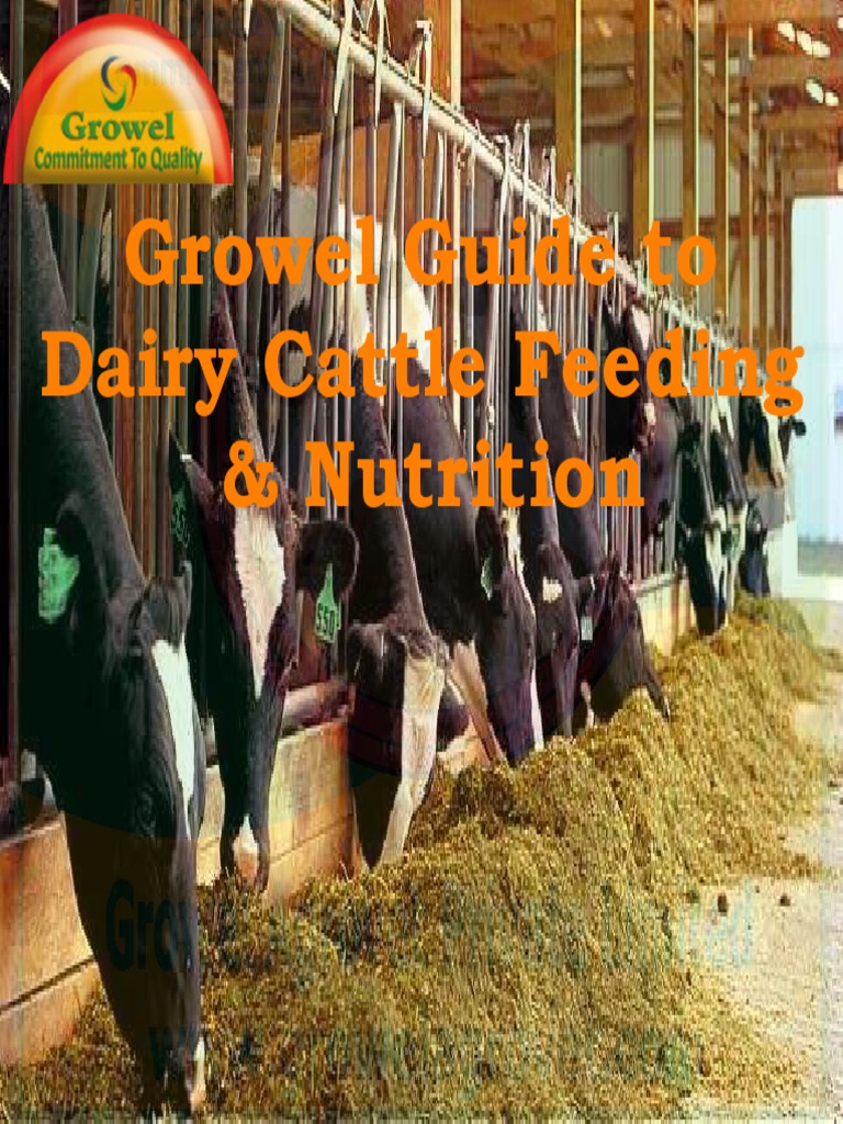 Growel Guide To Dairy Cattle Feeding & Nutrition | PDF | Ruminant ...