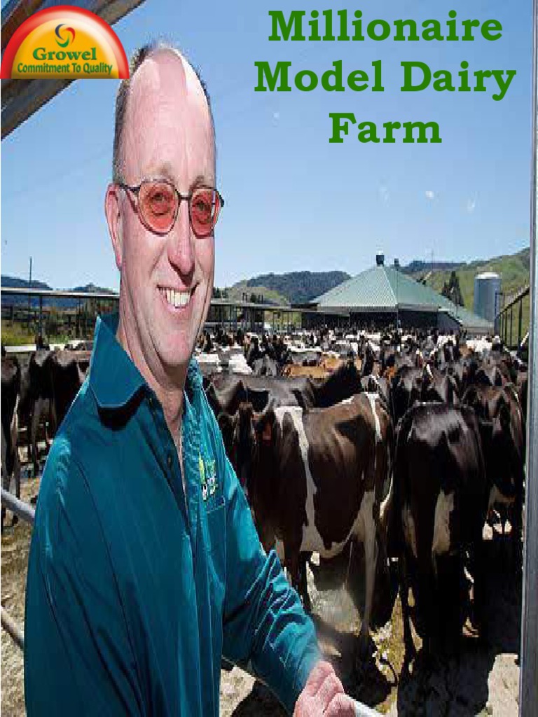 Millionaire Model Dairy Farm Strategies | PDF | Dairy Farming | Cattle