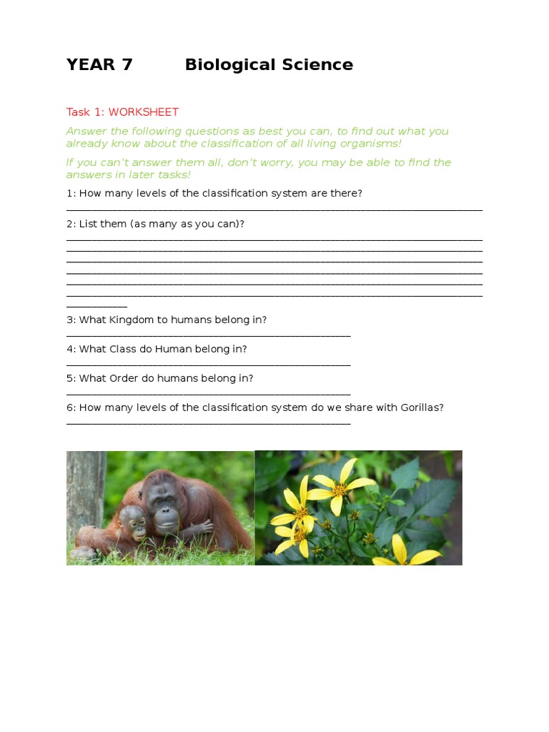 Human Classification Worksheet | PDF | Self-Improvement