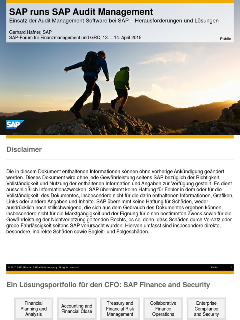 SAP Runs SAP Audit Management | PDF