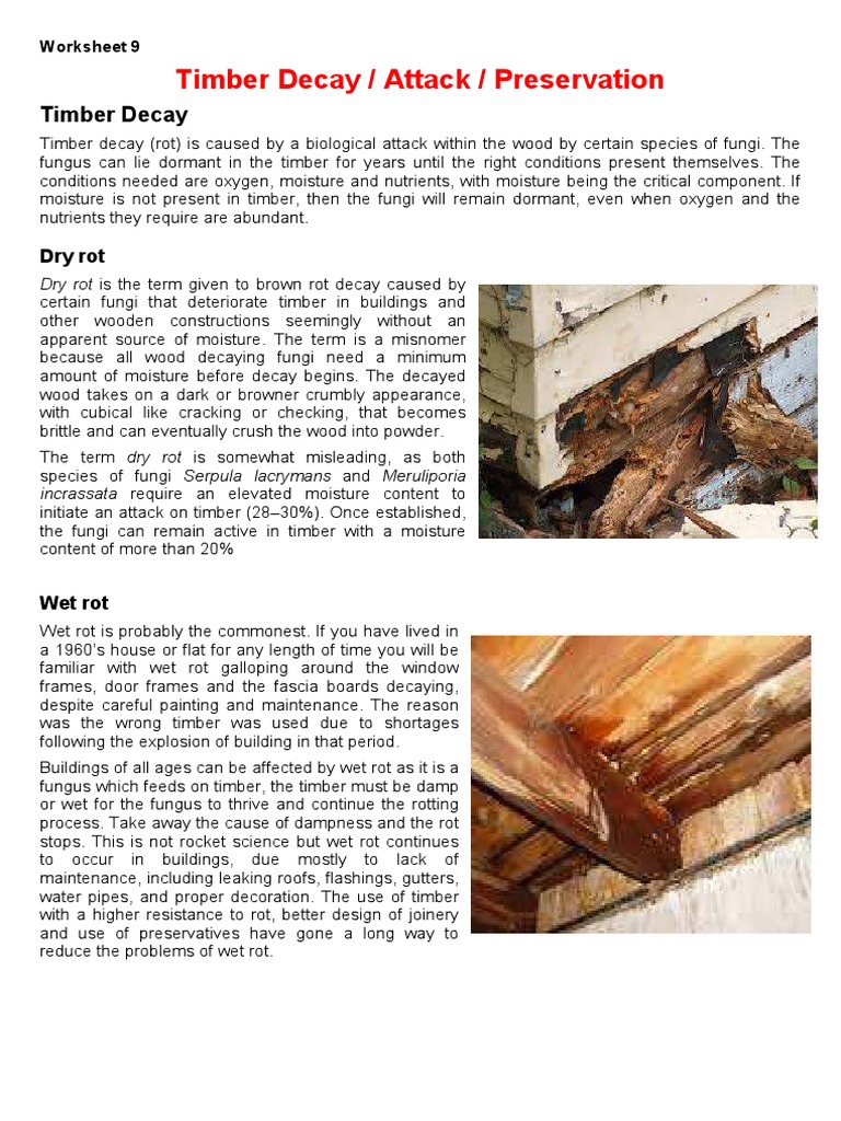 VET Timber Decay CH 7 Ws 9 | PDF | Lumber | Building Engineering