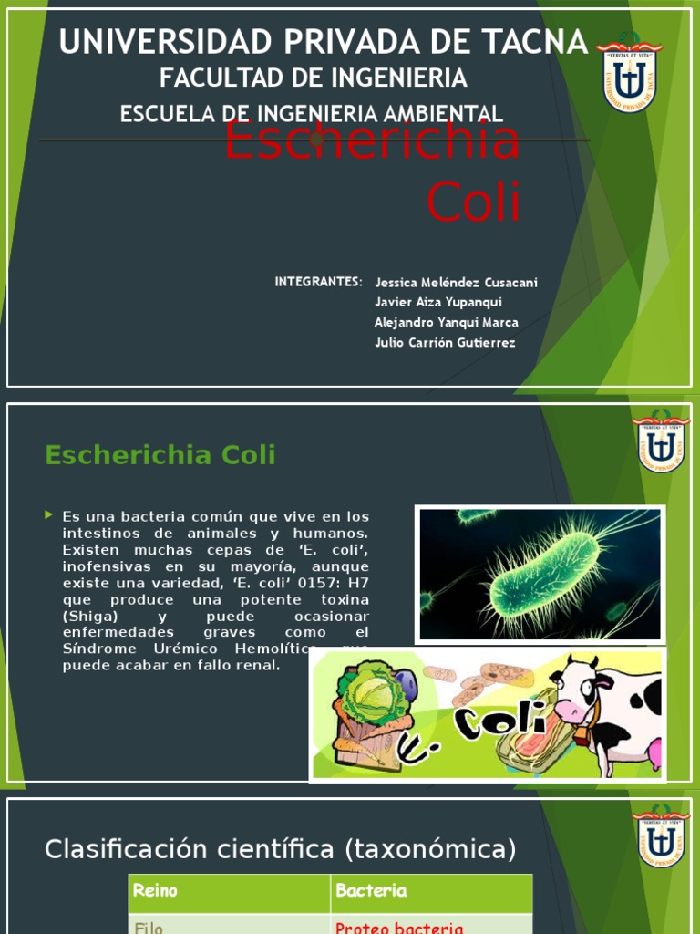 Escherichia Coli | PDF | Escherichia coli | Microbiología