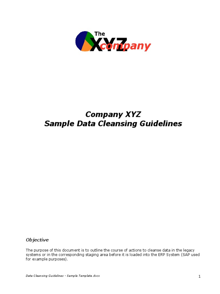 DataCleansingGuidelines SampleTemplate | PDF | Business Process ...