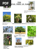 Indian Trees: Names and Features | PDF | Trees | Leaf