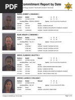 Peoria County Jail Booking Sheet | PDF | Law Enforcement | Crime & Violence
