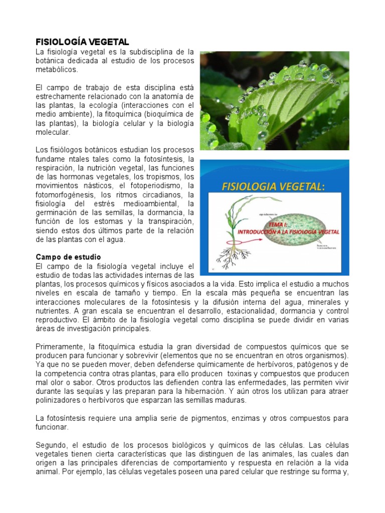 Fisiología Vegetal | Fisiología de las plantas | Respiración celular