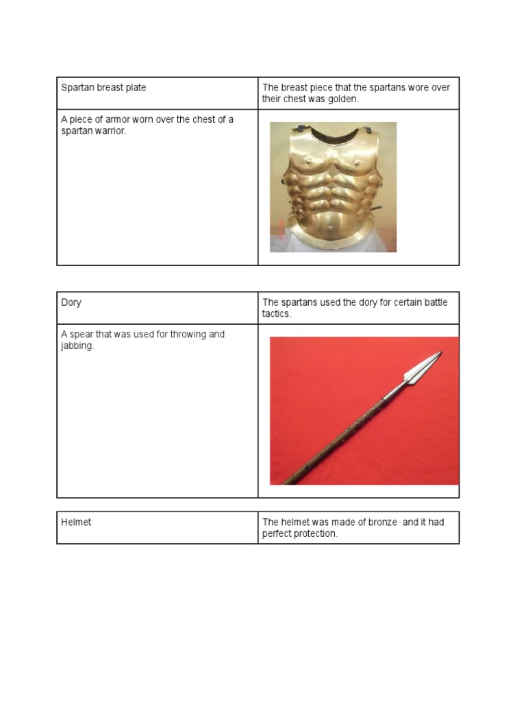Benchmark 4 Vocabulary | PDF | Young Adult