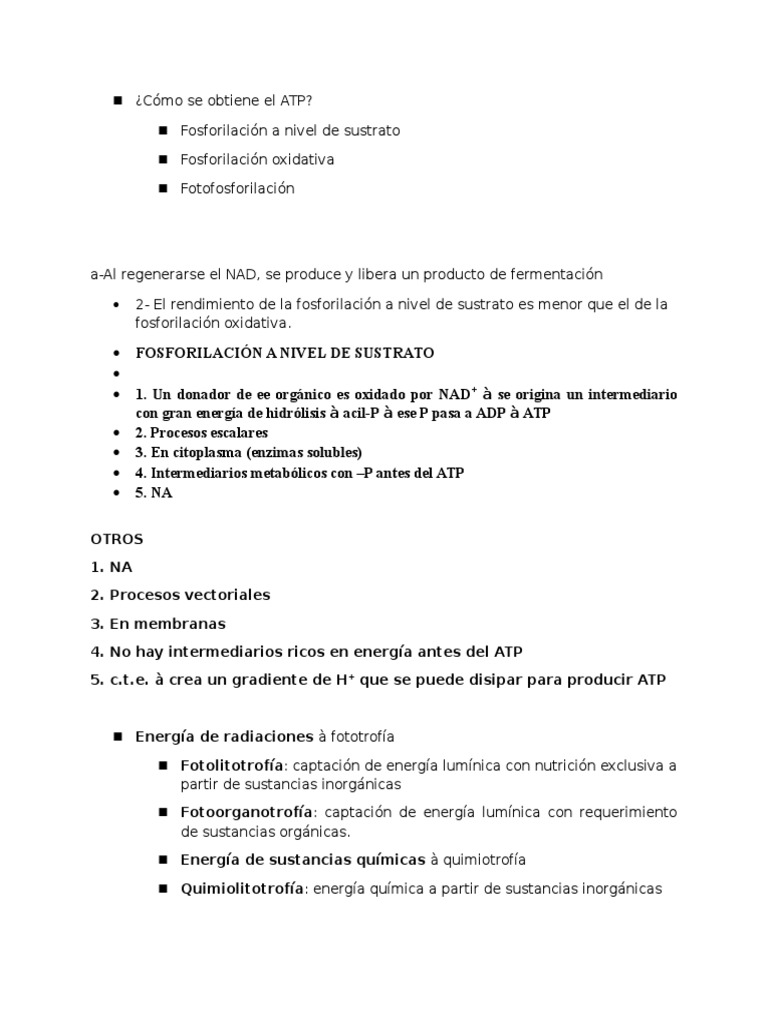 Obtención de ATP: Fosforilación y Fermentación | PDF | Ciclo del ácido ...