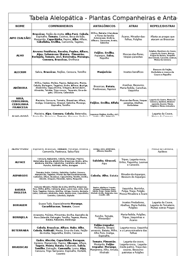 Tabela de Plantas Companheiras | Dill | Agronomia