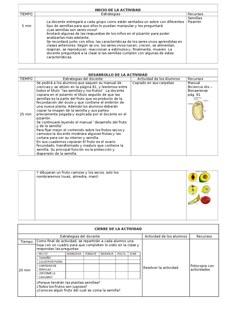 semillas y frutos | Fruta | Semilla