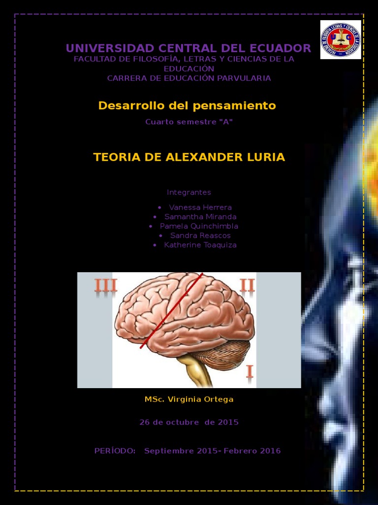 TEORIA DE ALEXANDER LURIA | Corteza cerebral | Hemisferio cerebral