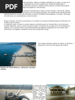 Descripción y Tipología de Muelles | PDF | Muelle | Fundación (Ingeniería)
