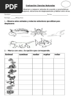 Cubierta Corporal de Los Animales | PDF